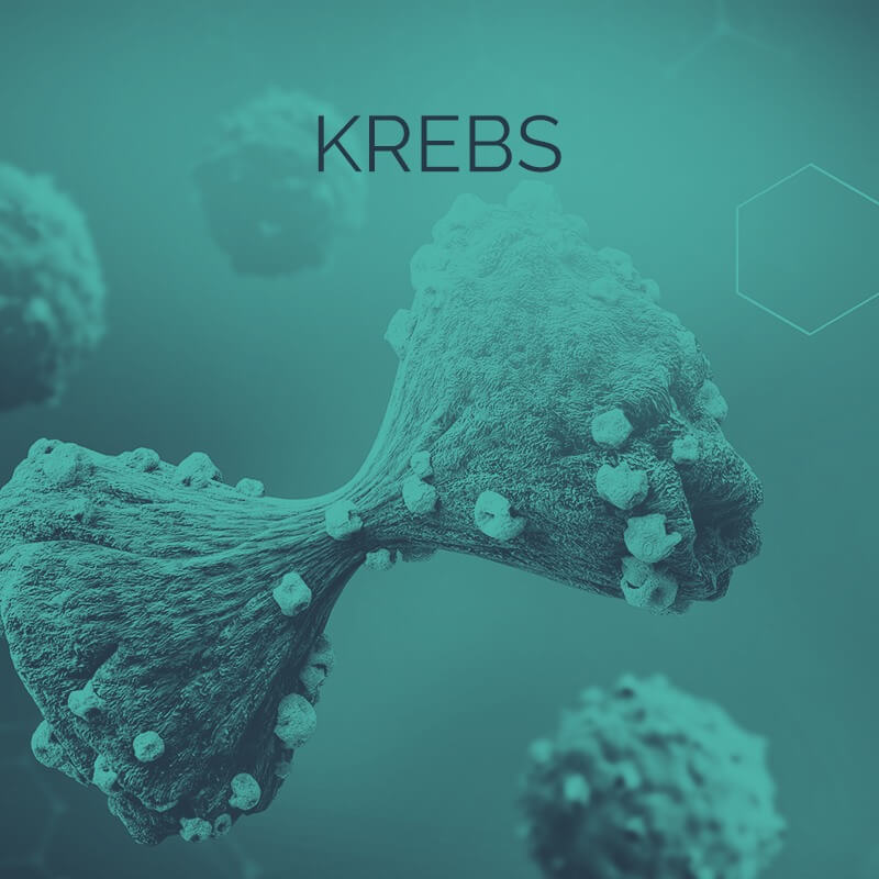 Krebs - DOCTARIS