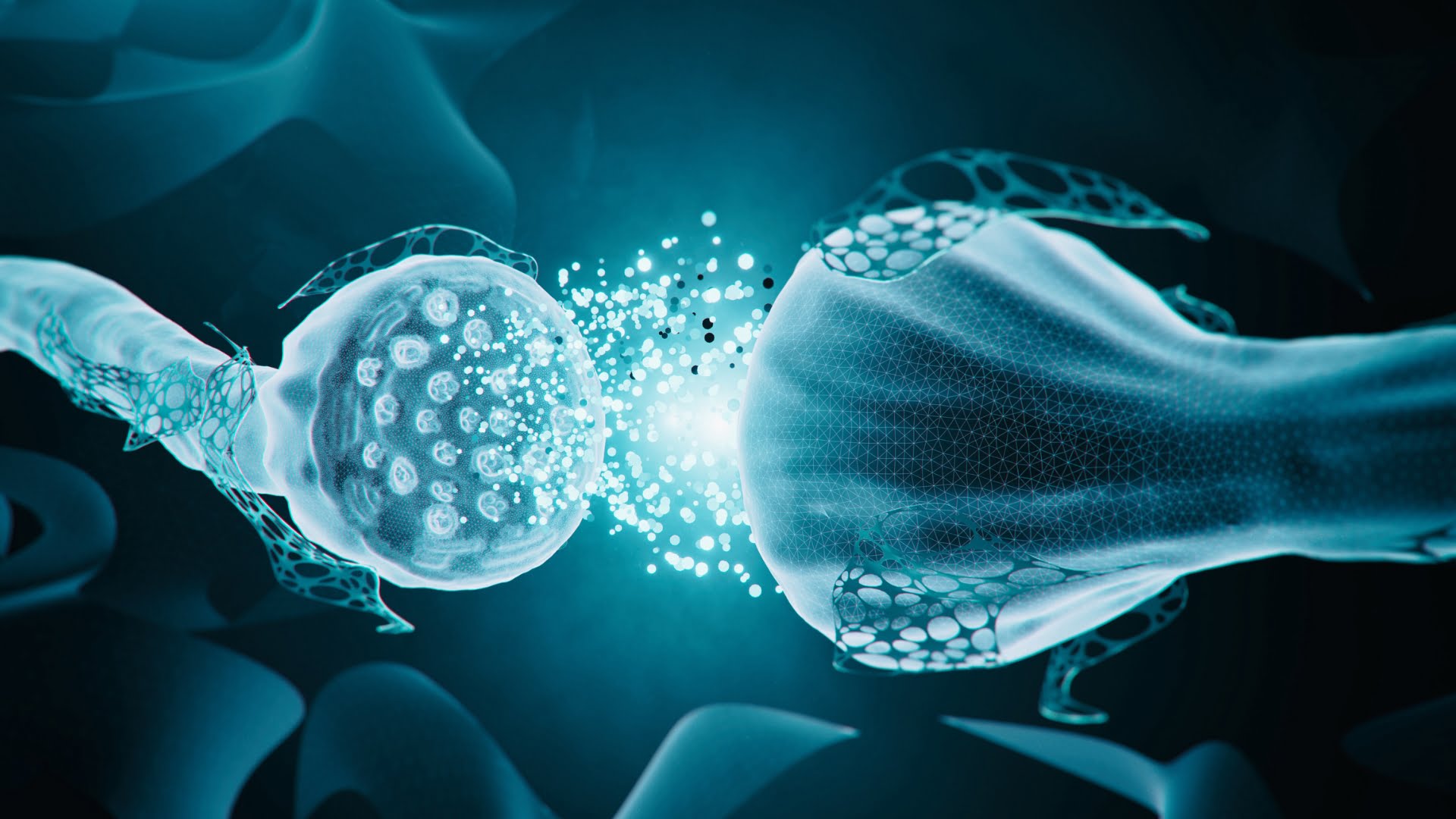 Neurotransmitter – Polymorphismen der COMT- und MAO A-Gene - DOCTARIS